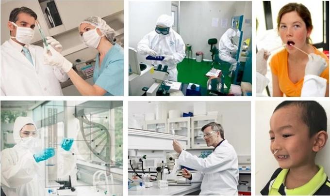 ABS Handle Nylon Flocked Nasopharyngeal Swab For Influenza